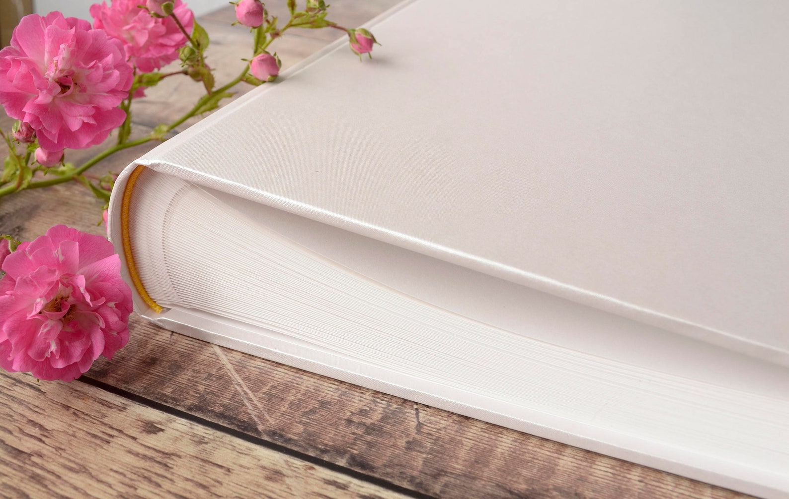 Extra Large Traditional Book Bound Photograph Album With Opaque ...