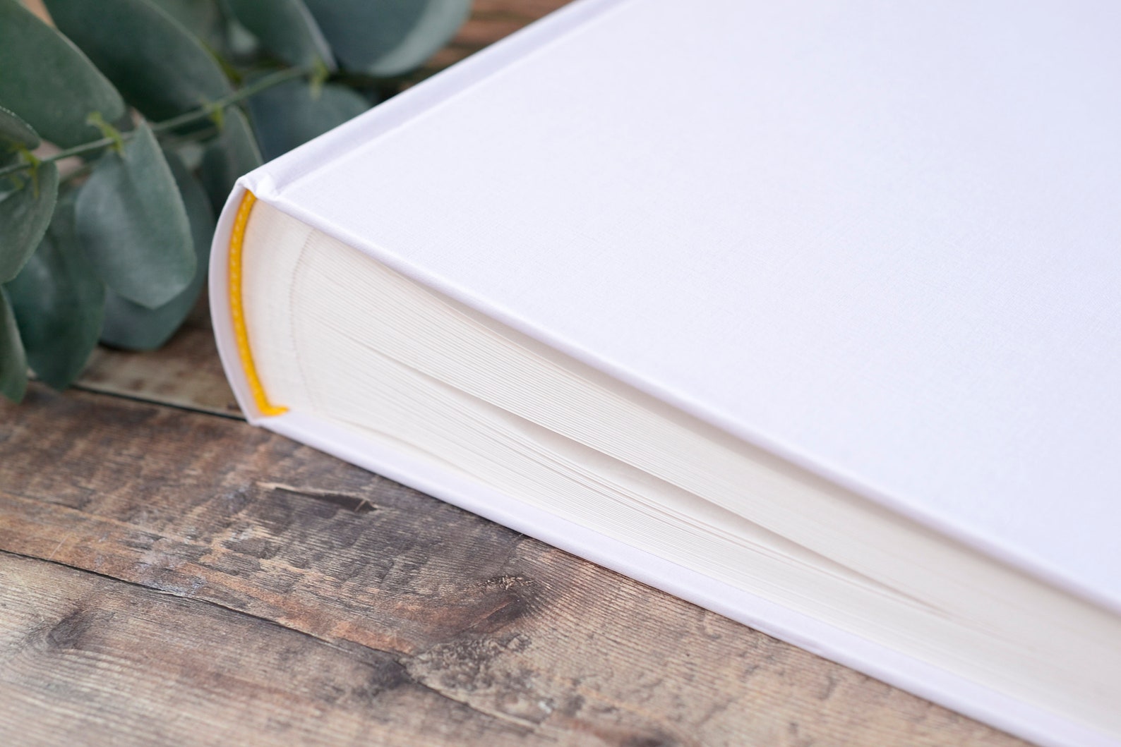 Large White Traditional Book Bound Plain Photograph Album With Opaque ...