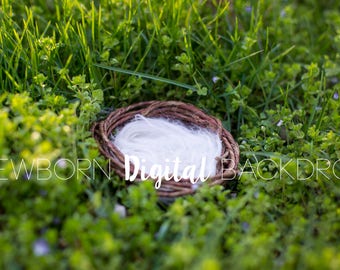 Digital Background Newborn Digital Backdrop Woodland Baby Nest - Etsy