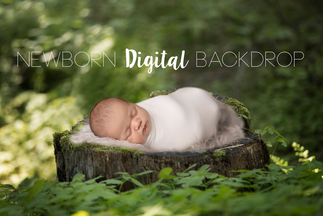 Newborn Digital Backdrop Background Outdoor Nature - Etsy
