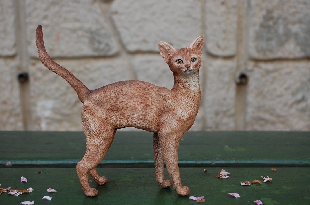 Abyssinian Cat Figurine(shall We Take a Walk Together?) - Etsy