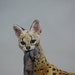 Servalcat Figurine(i Take This Mouse) - Etsy
