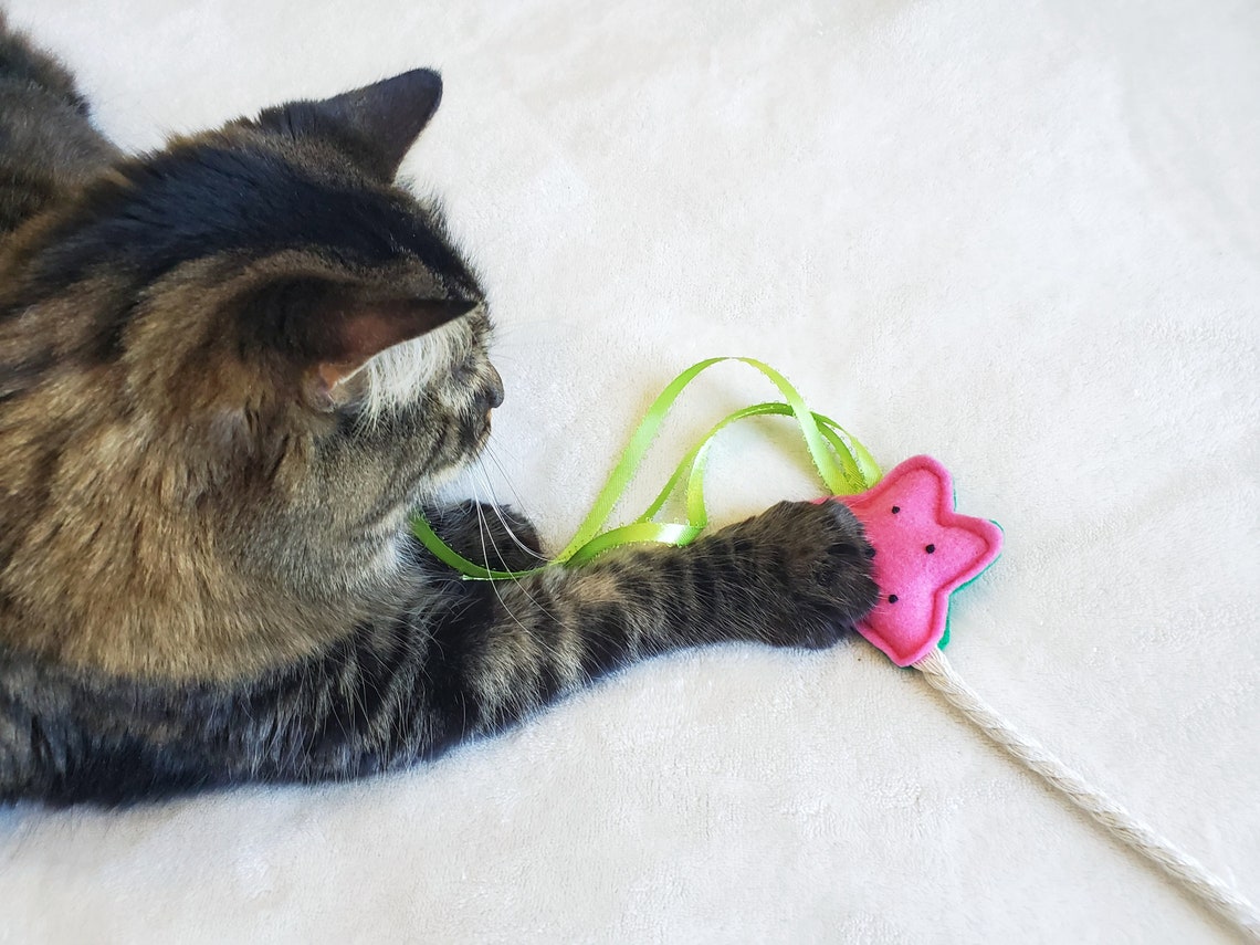 Cat Teaser Wand Cat Toy Star Cat Toys Wand Cute Cat Toys | Etsy