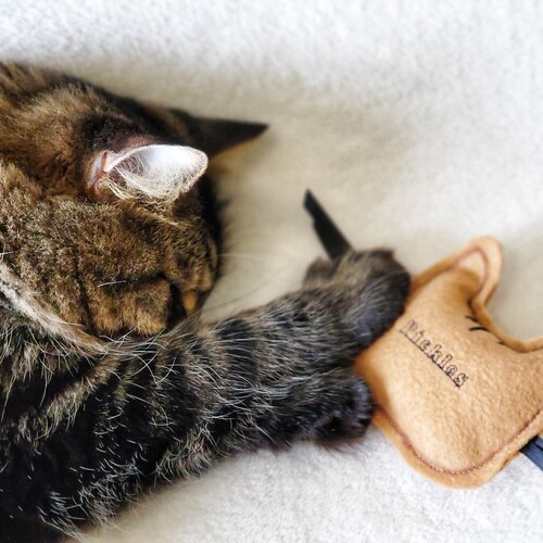 Cat Toys Bird Cat Toy With Strings Ribbons Catnip and - Etsy Canada