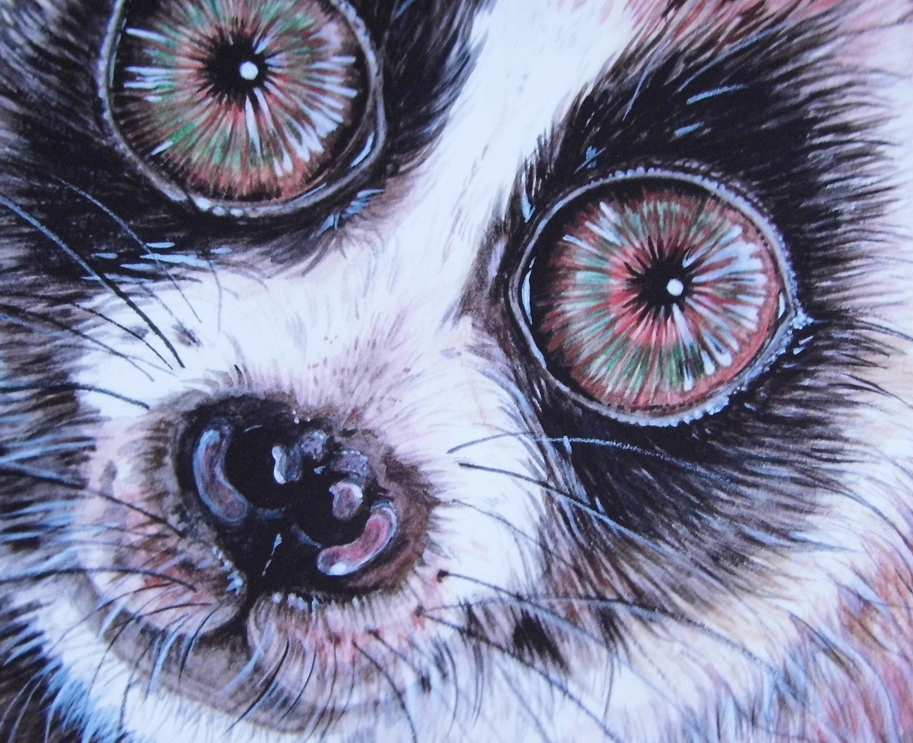 Loris Slow Loris Loris Print From Original Art Exotic - Etsy UK