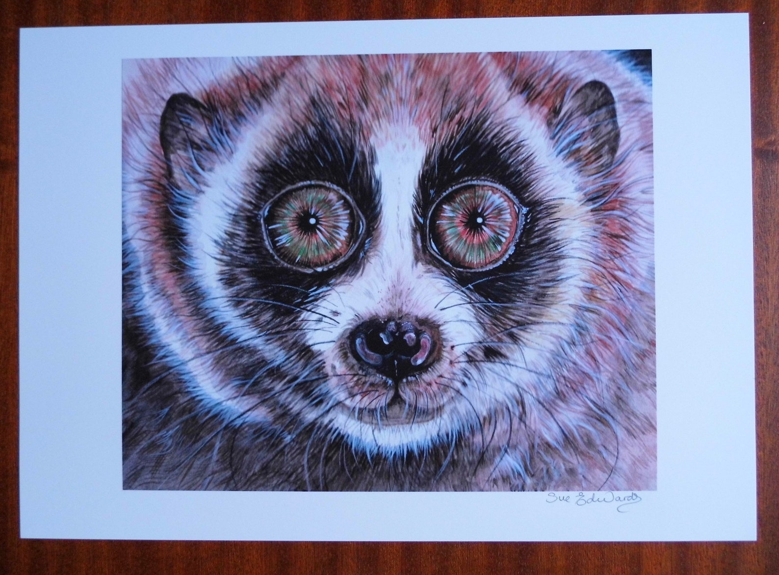 Loris Slow Loris Loris Print From Original Art Exotic - Etsy
