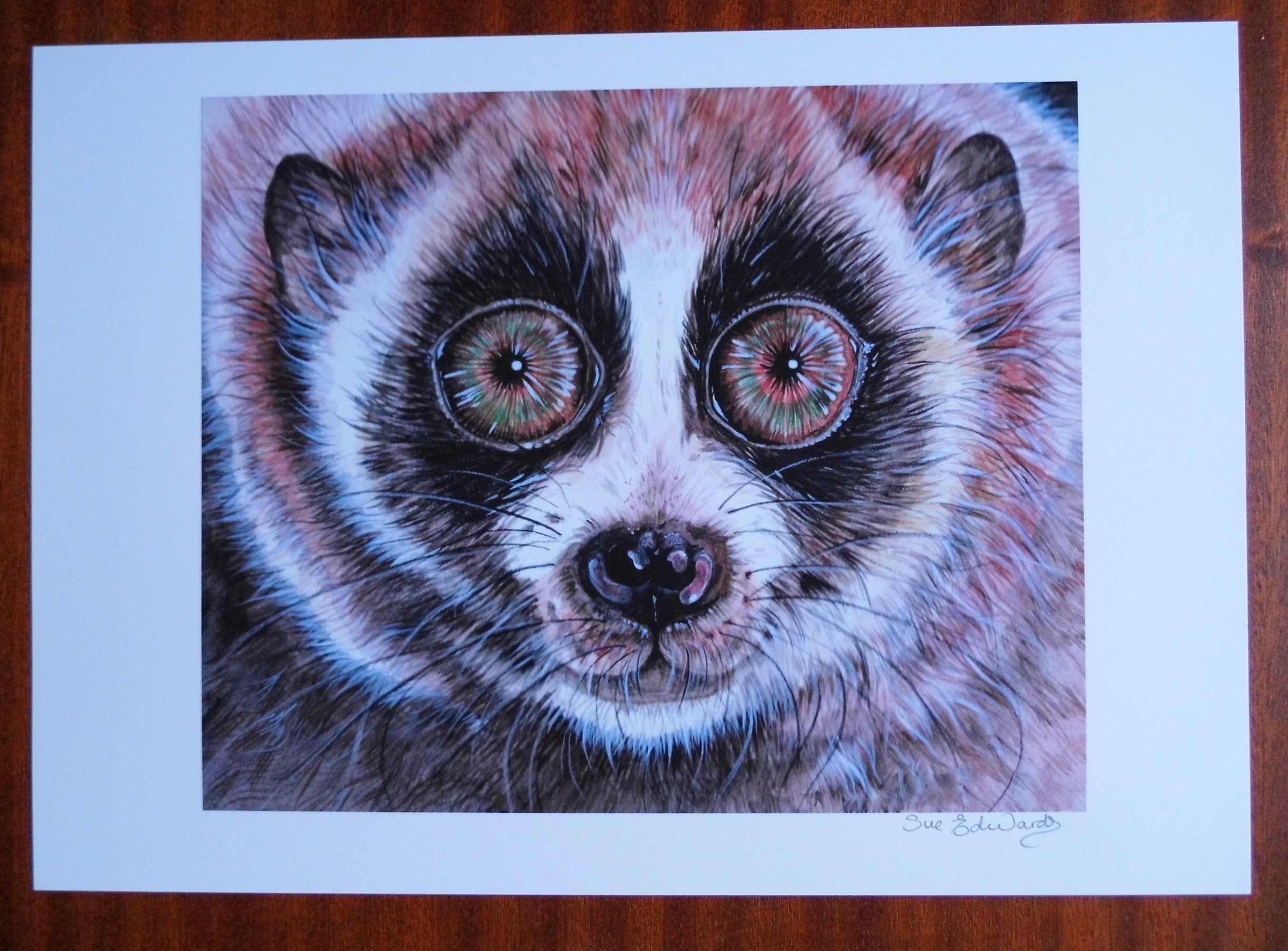 Loris Slow Loris Loris Print From Original Art Exotic Animal Primate A4 ...