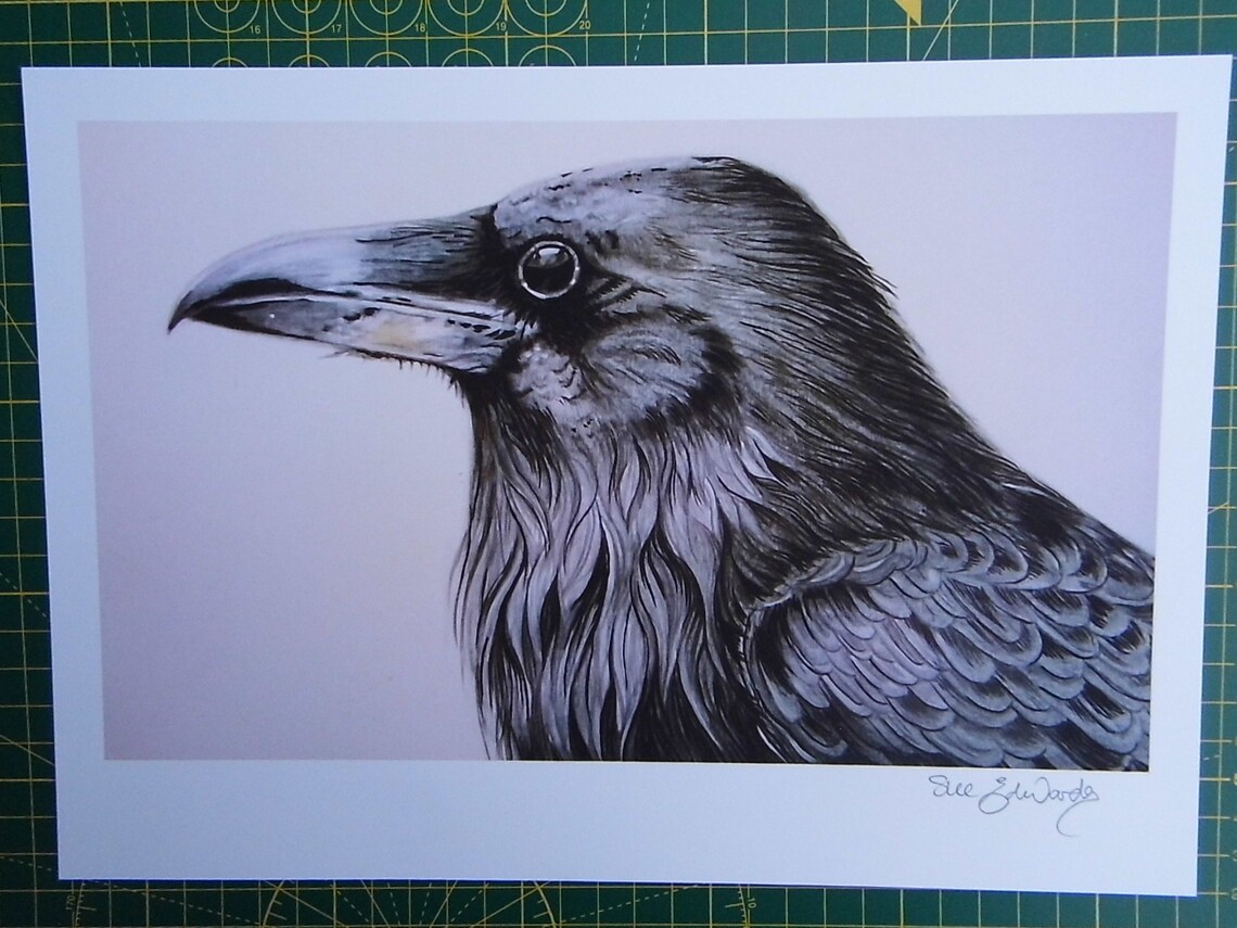 Raven Art - Original Print - Bird Print - Gothic Art - Raven - Bird ...