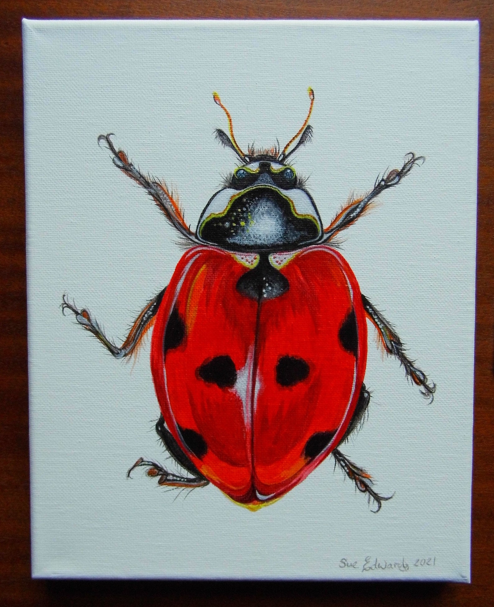 Ladybird-original Acrylic Painting on Canvas Insect Art Ladybird Art ...