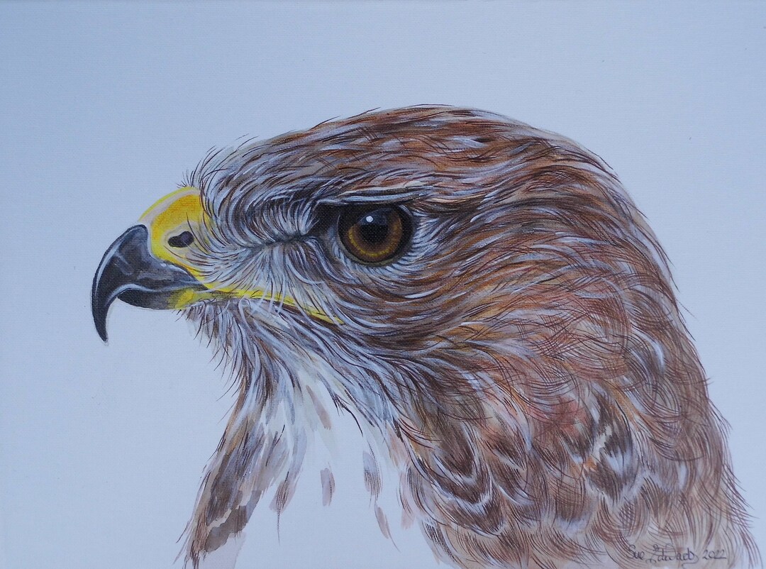 Buzzard - Original Acrylic Painting on Box Canvas - Bird of Prey ...