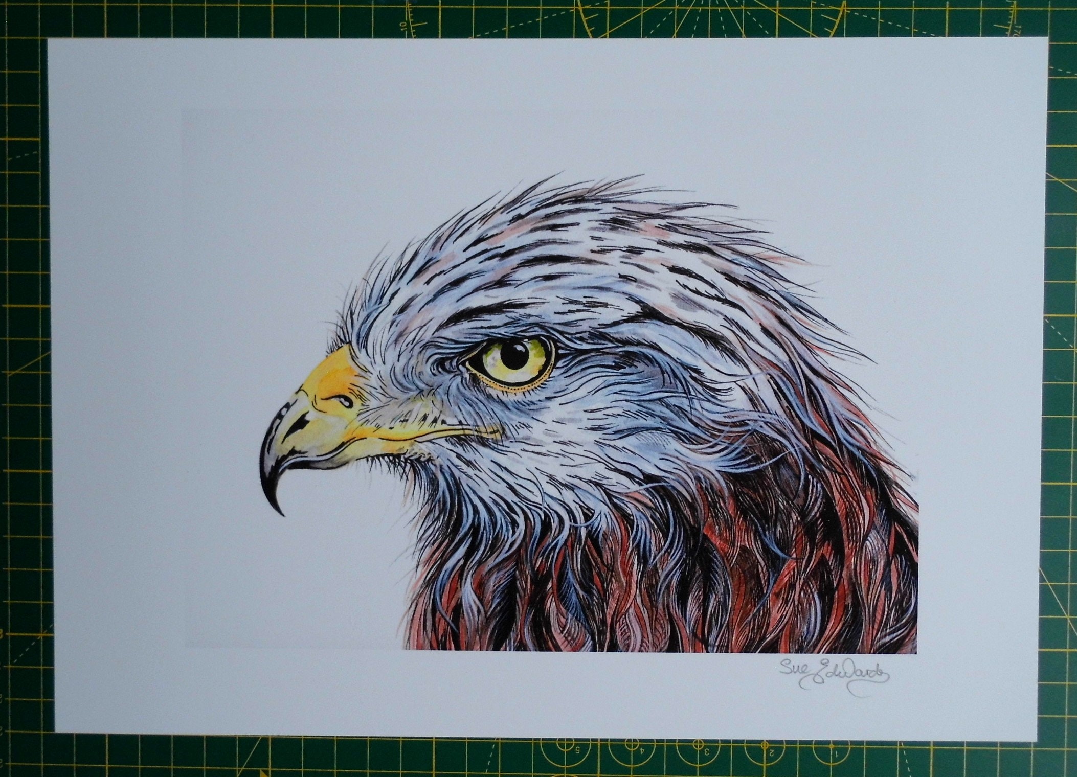 Red Kite Bird of Prey Original Print of Artwork british Wildlife Red ...