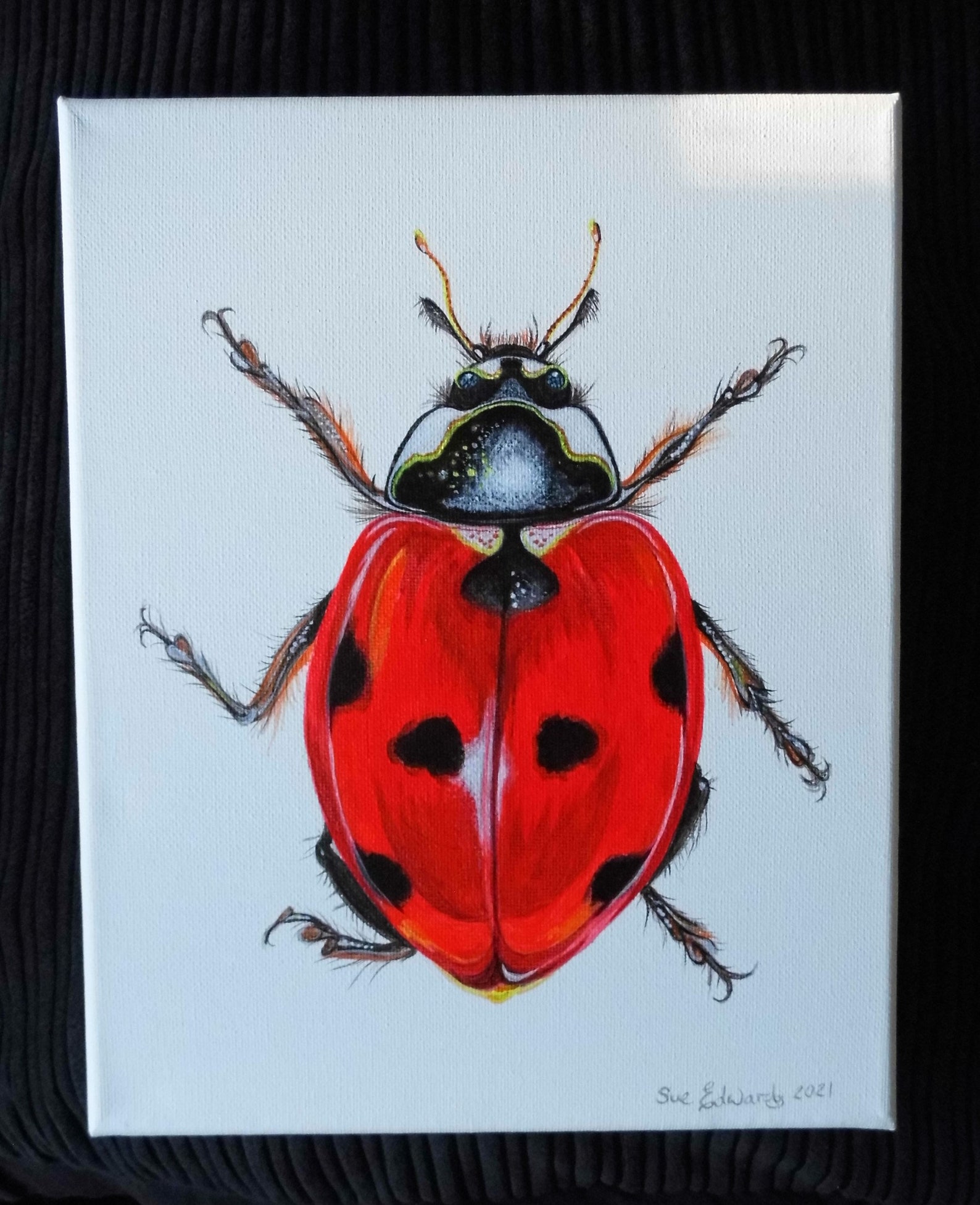Ladybird-Original acrylic painting on canvas Not a print | Etsy