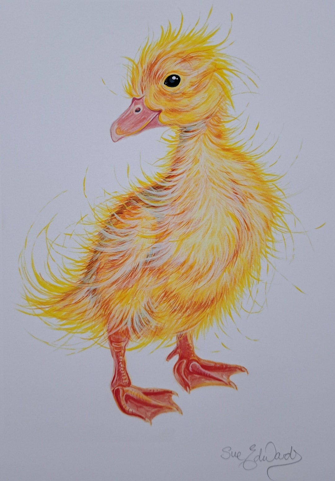 Duckling-a4 Print From Original Art- Baby Duck- Bird Art - Fluffy ...