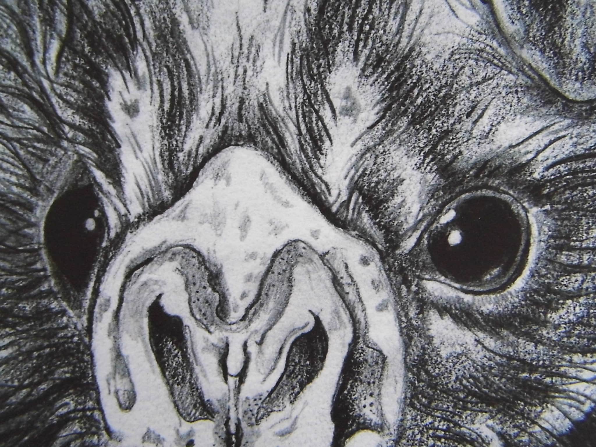 Bat Art Halloween Original Print Vampire Bat Bat Face - Etsy