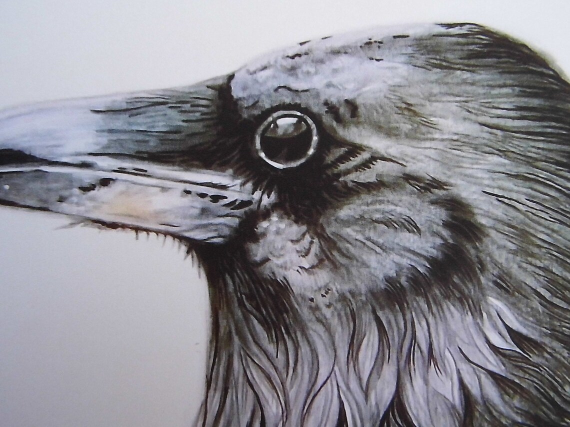 Raven Art - Original Print - Bird Print - Gothic Art - Raven - Bird ...