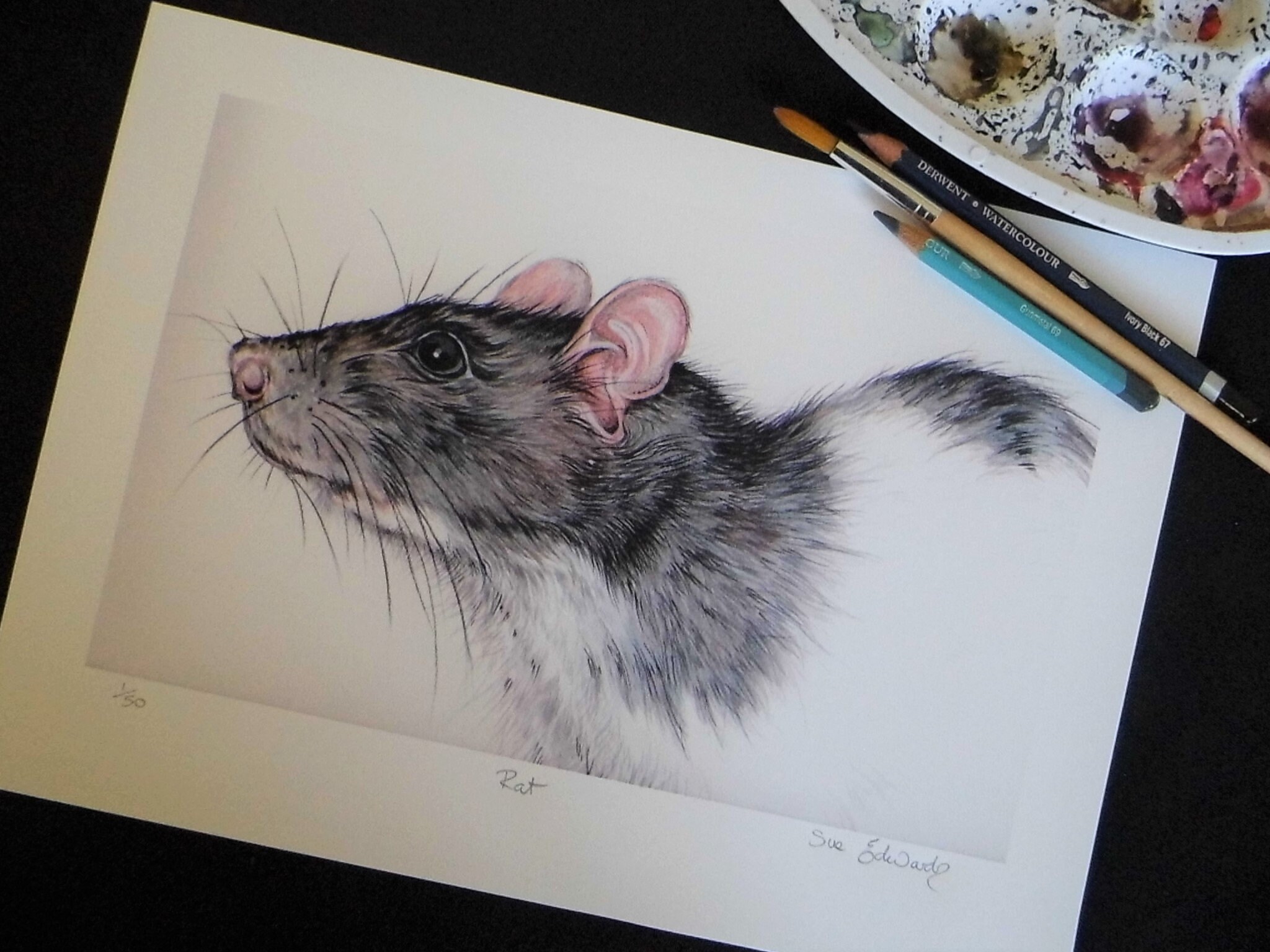 Rat Art Rat Print Original Print Limited Edition Pet - Etsy