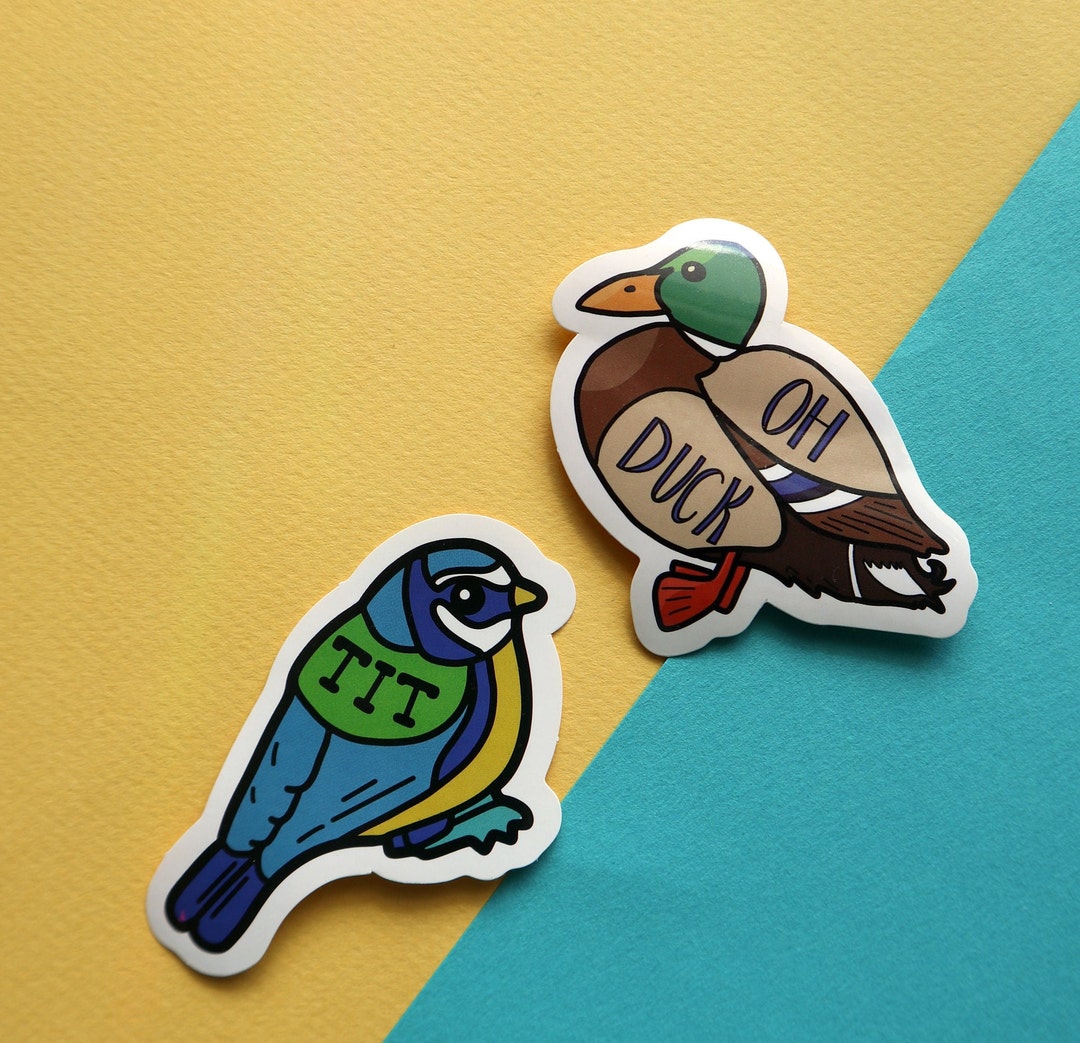 Angry Birds Sticker Pack | Tit & Duck - Etsy