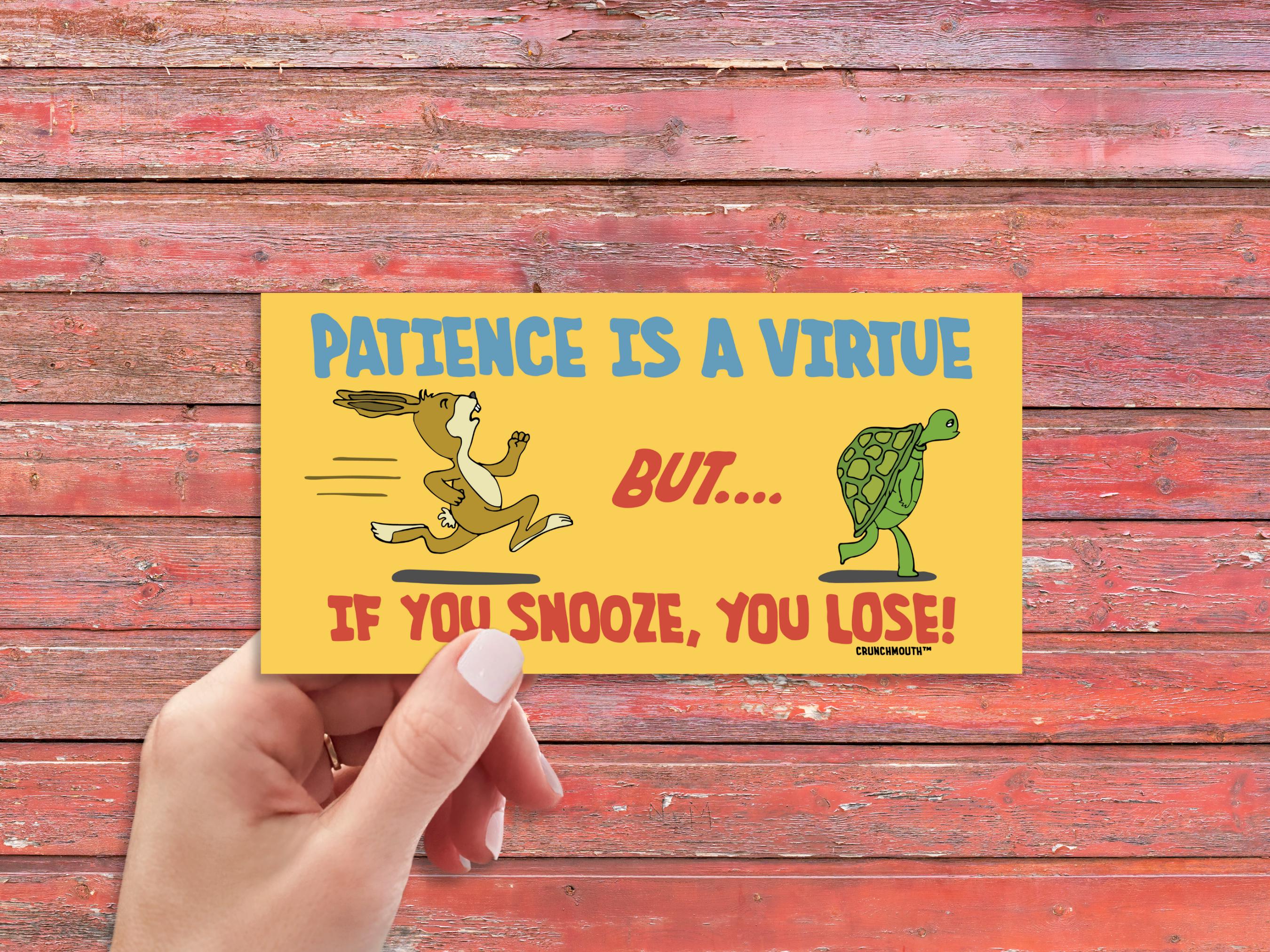 Tortoise and Hare Bumper Sticker, Patience is a Virtue but If You ...