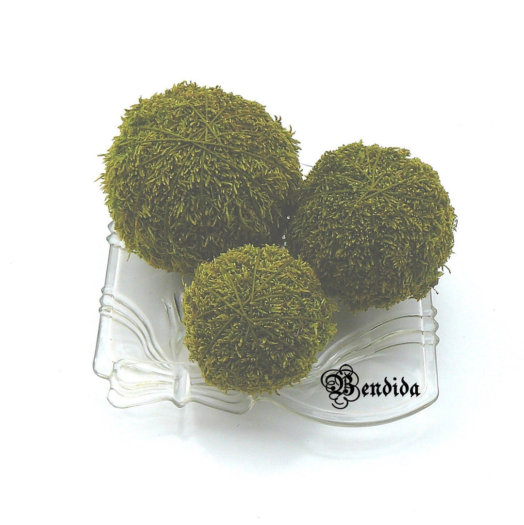 Moss Decorative Balls for Bowls, Vase Fillers Primitive Orbs, Eco ...