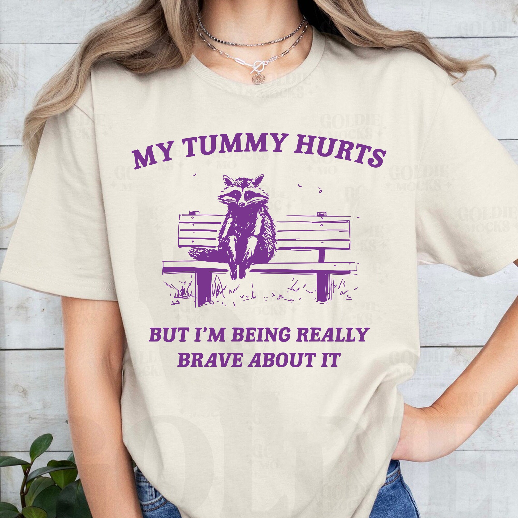 My Tummy Hurts Raccoon PNG Digital File, Weird Meme PNG Merch, Trash ...
