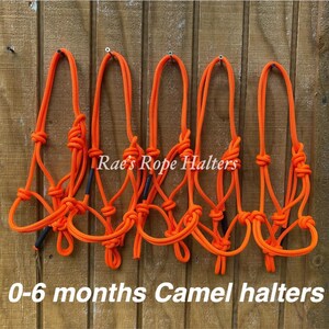 CAMEL HALTERS - Etsy