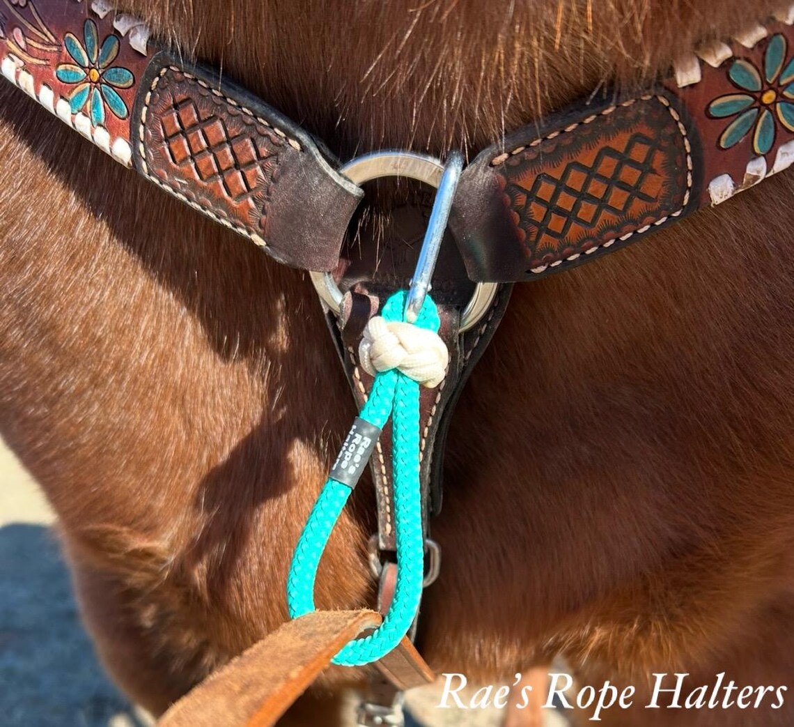 TIE DOWN KEEPER W/caribiner - Etsy