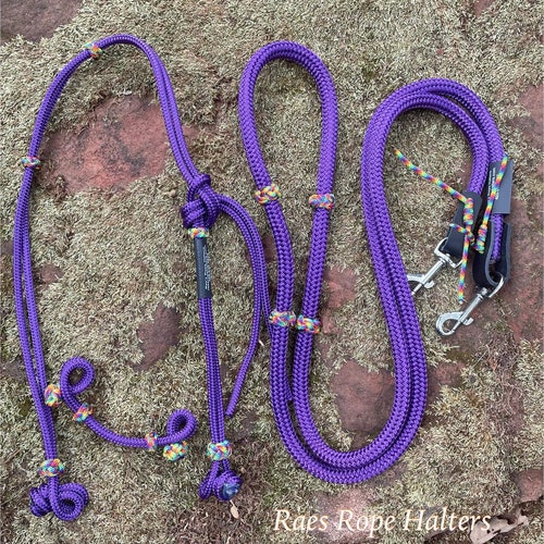 Soft Rope Halter Bitless Bridle Hackamore Woven Paracord - Etsy