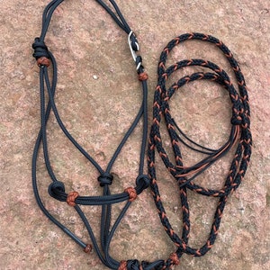 HOOK HALTER W/nose Knots (lead Not Included) - Etsy