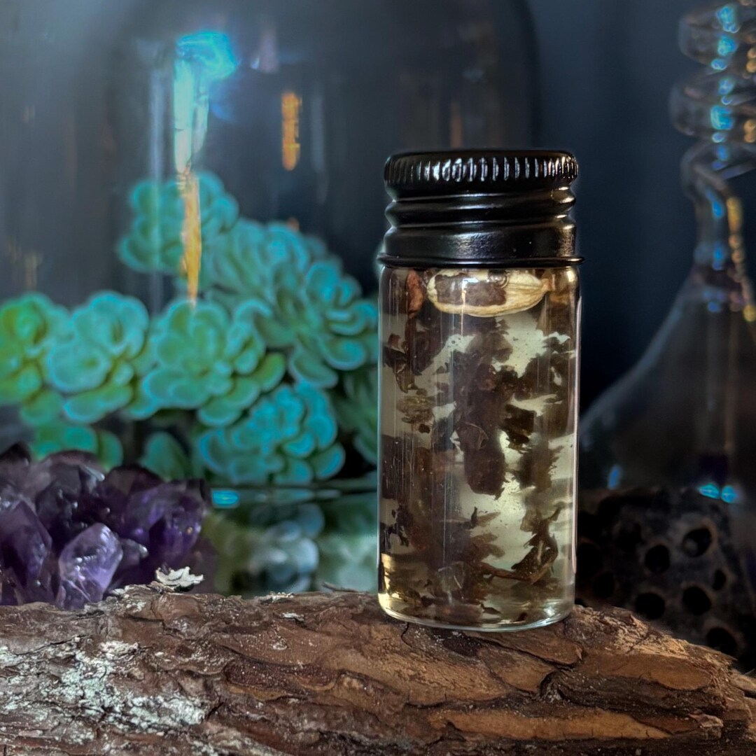 Bewitched Attraction Oil: Jezebel Root, Vanilla - Hoodoo Witchcraft - Etsy