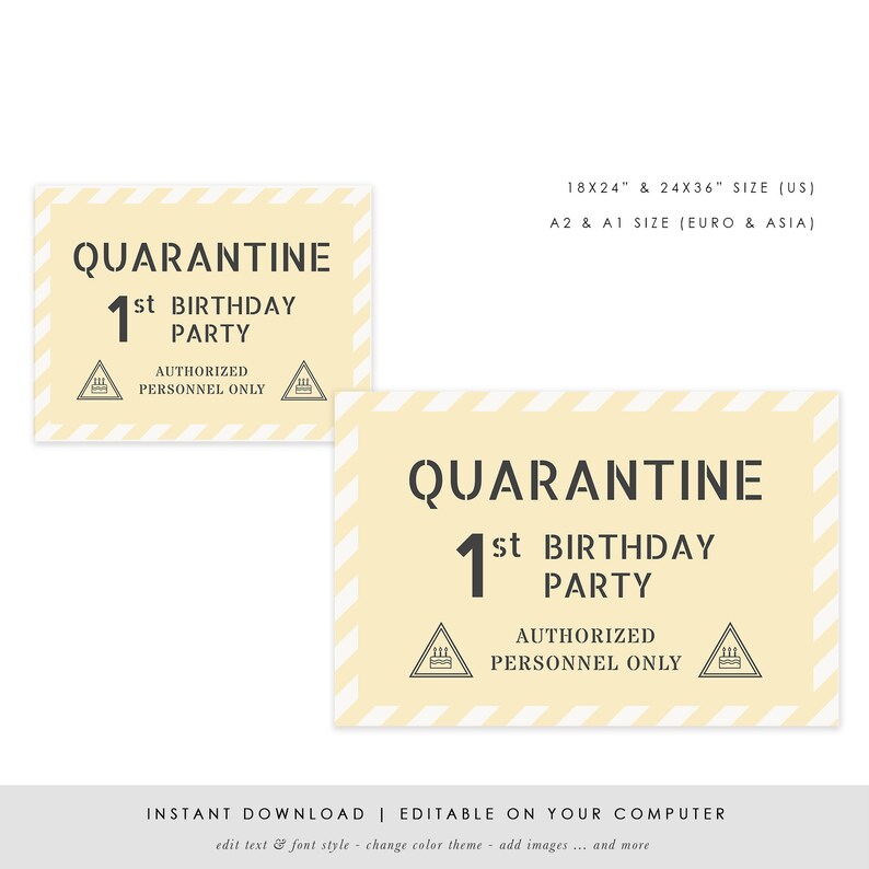 Quarantine Birthday Party Invite Template Printable Birthday - Etsy