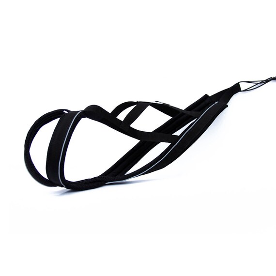 X-back Dog Harness Bike and Ski Joring Canicross Sledding - Etsy Ireland