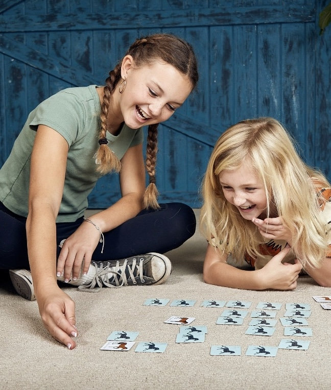 Memory Game - Horse Breeds - Etsy
