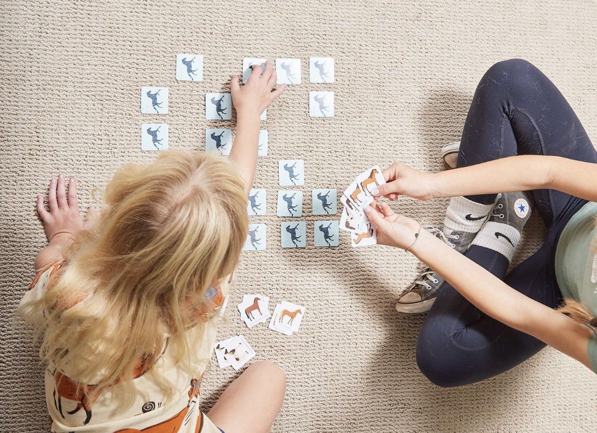Memory Game - Horse Breeds - Etsy