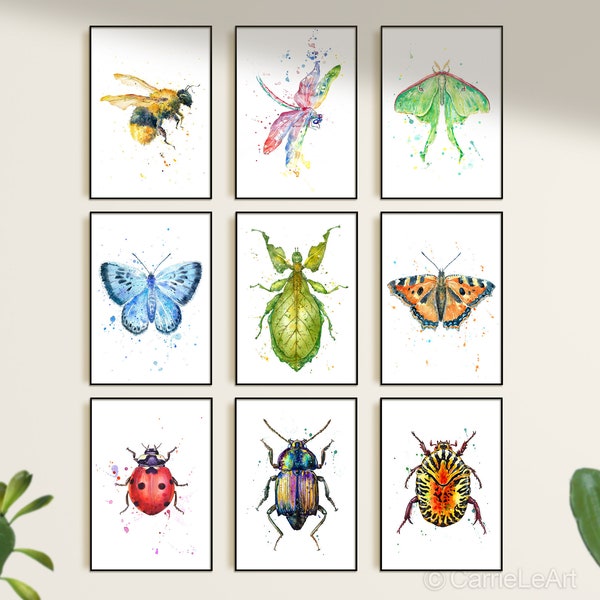 Bug Prints - Etsy
