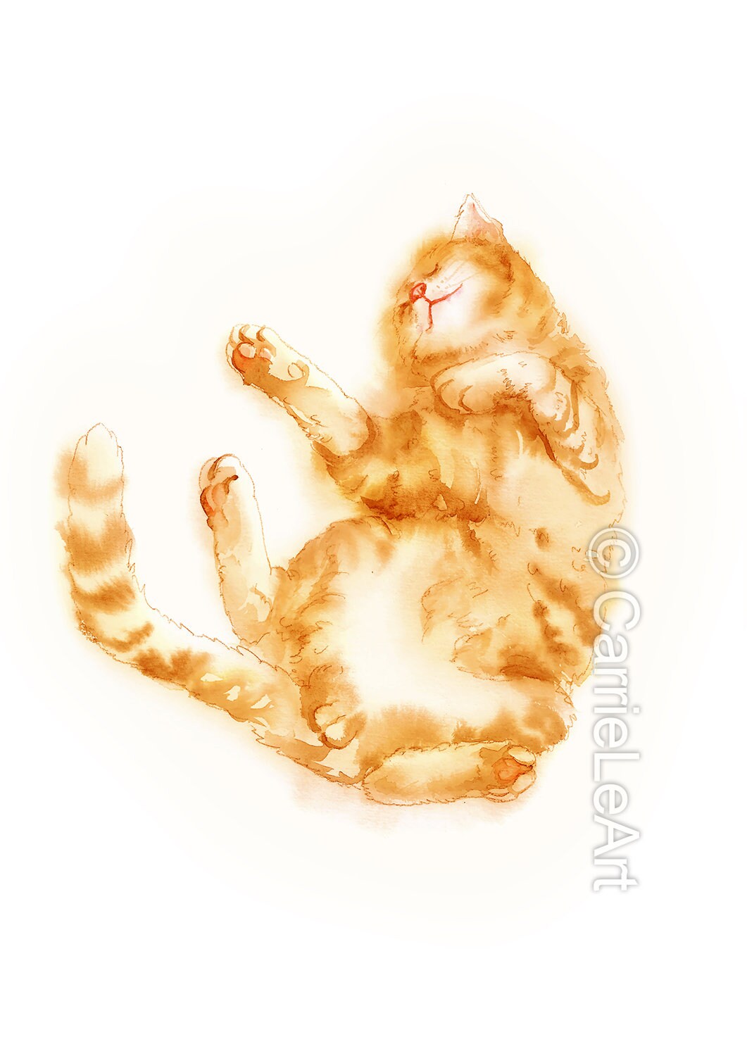 Tabby Cat Set of 3. Cat Print, Cat Decor, Ginger Tabby Cat Print ...