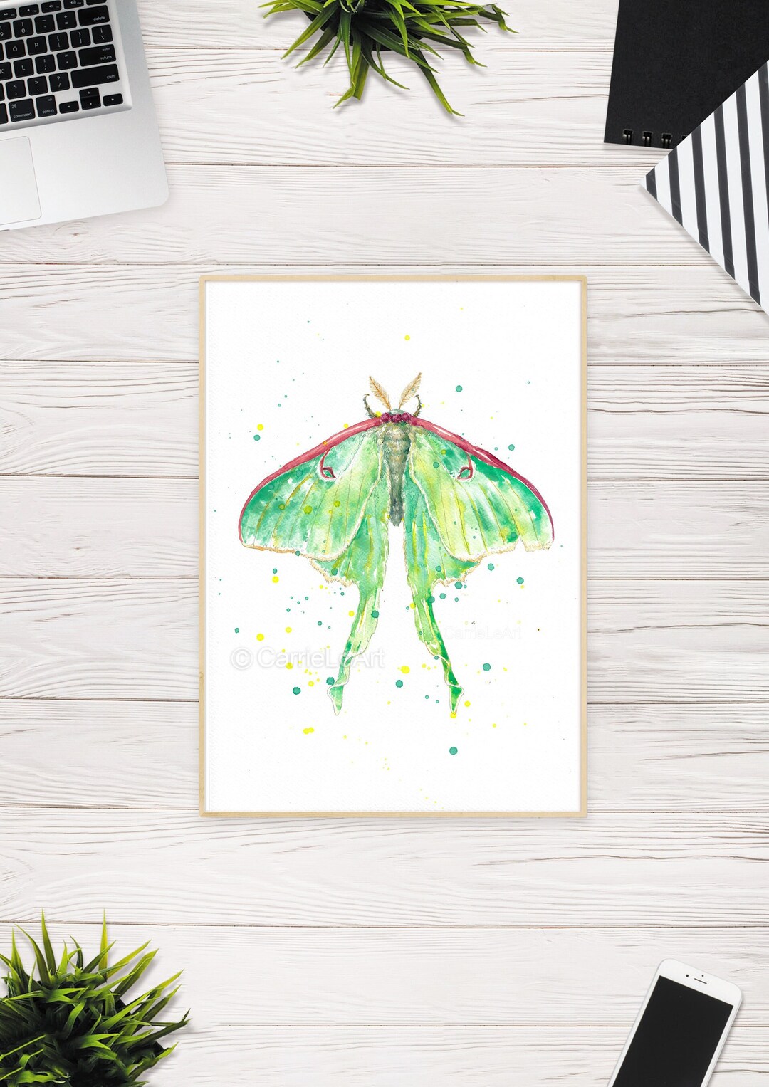 Original Luna Moth Watercolor, Green Moth Painting, Moth Wall Art ...
