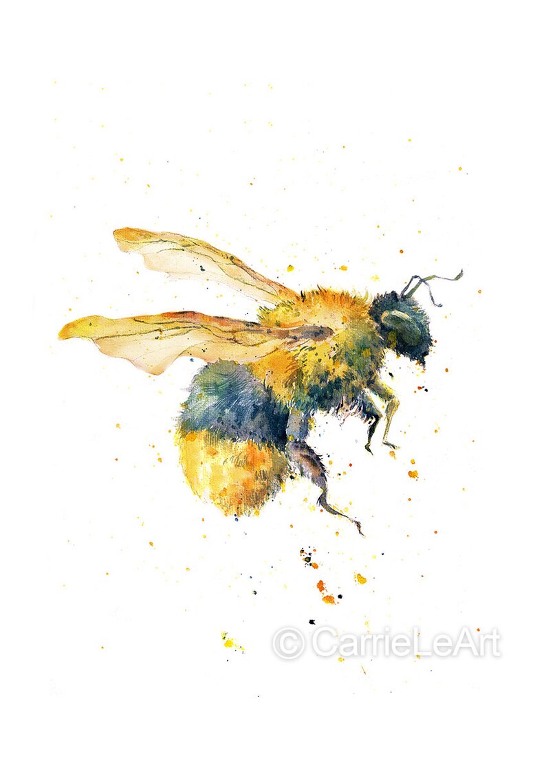 Bumble Bee Print Set of 3 Bee Prints Insect Prints Bee - Etsy