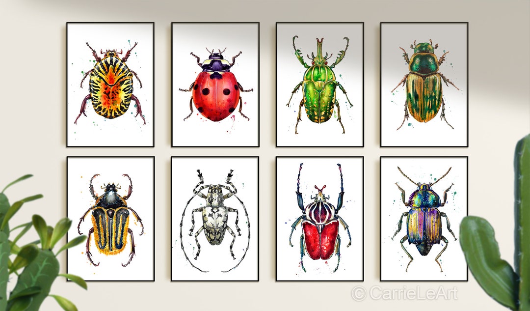 Custom Beetles Set of 8, Beetles Prints, Insects Wall Decor, Watercolor ...
