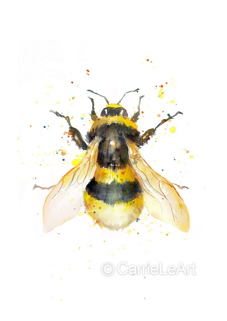 Bumble Bee Print Set of 3 Bee Prints Insect Prints Bee - Etsy