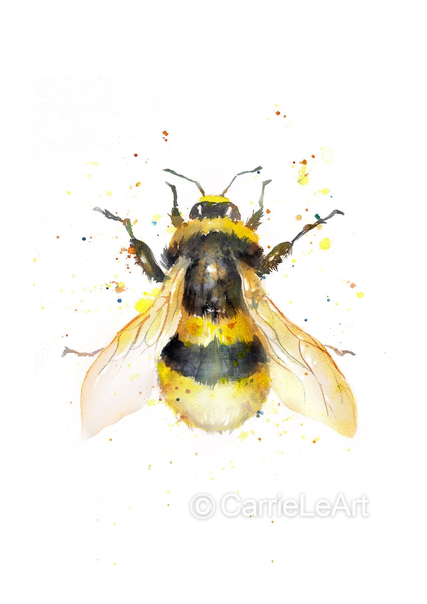 Bumble Bee Print Set of 3 Bee Prints Insect Prints Bee - Etsy