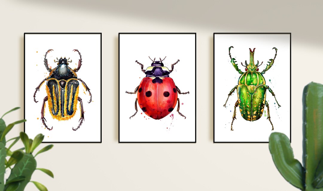Custom Beetles Set of 3, Beetles Prints, Insects Wall Decor, Watercolor ...