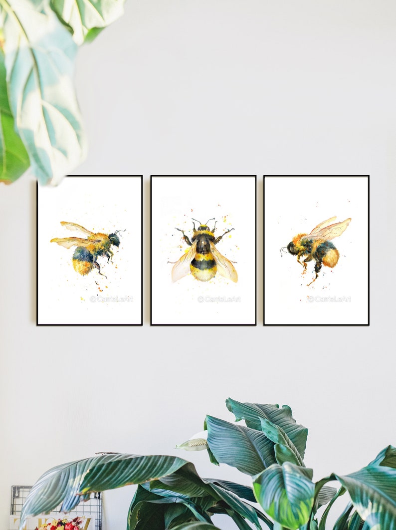Bumble Bee Print Set of 3 Bee Prints Insect Prints Bee - Etsy