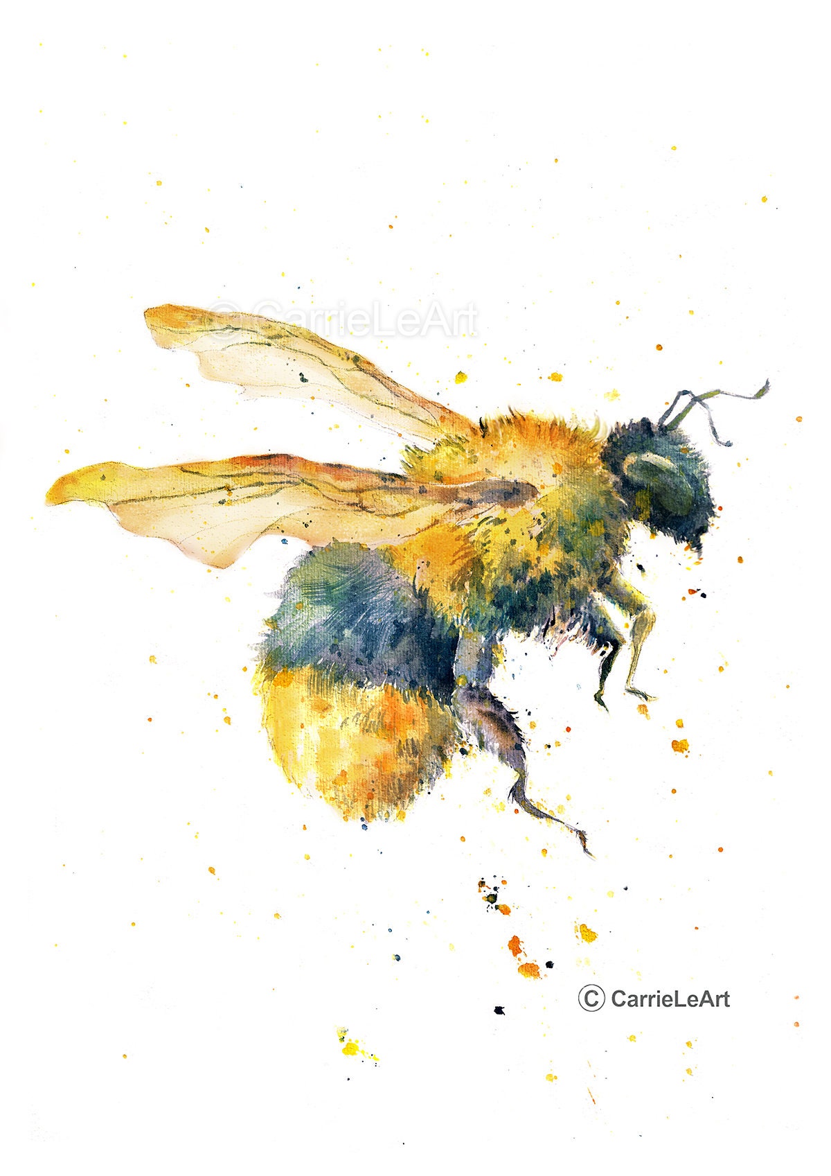 Bumble Bee Print Set of 4, Bee Prints, Insect Prints, Bee Watercolor ...