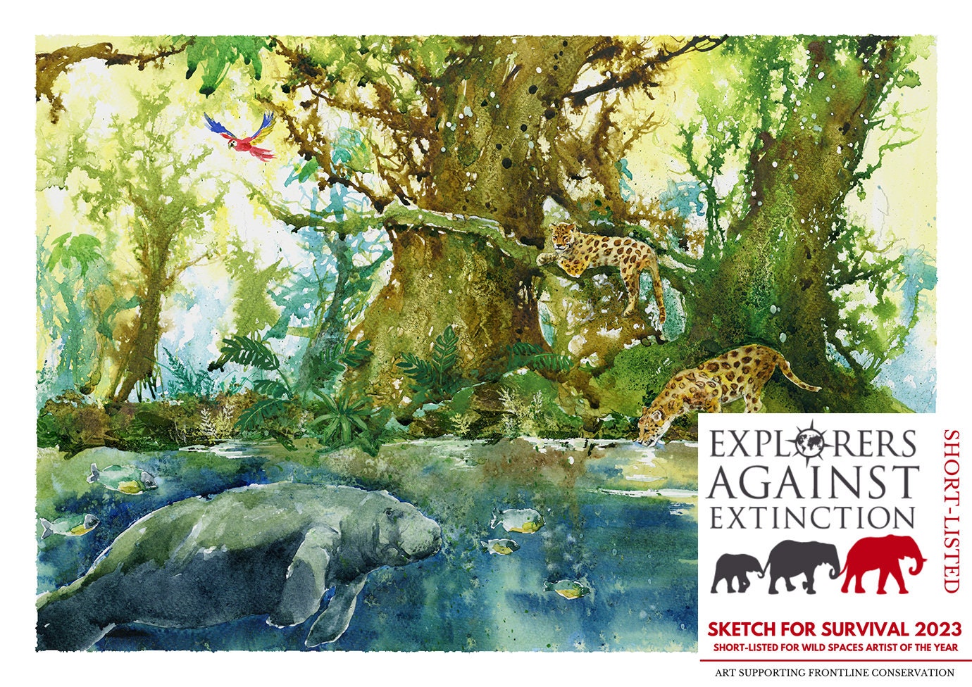 Amazon Rainforest Landscape, Botanical Print, Watercolour Jungle Poster ...