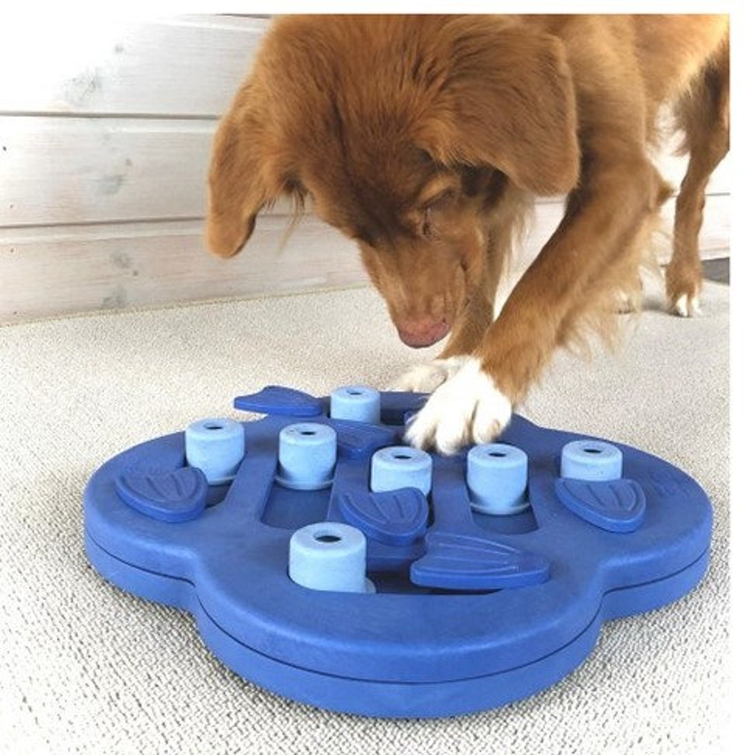 Interactive Game Intelligence Game for Dog Level 2 - Etsy