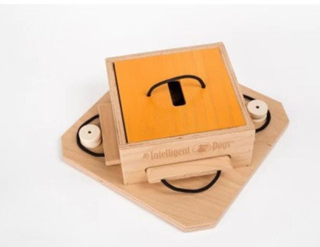 The Trouble Cube - Interactive Puzzles for Dogs - My Intelligent Dog - Etsy