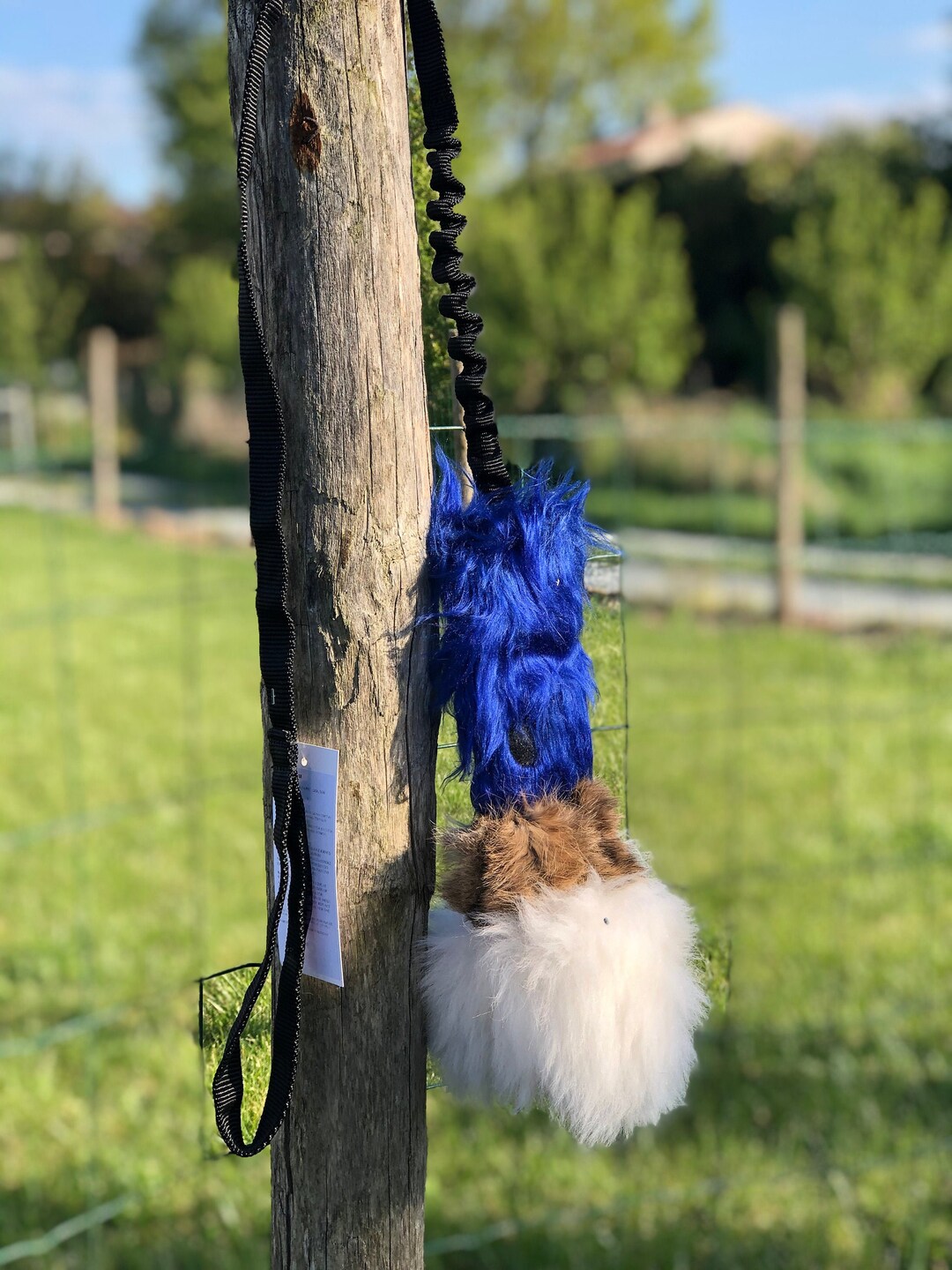 Tug Floramicato FLUFFY SQUID - Dog and Puppy Toy - Etsy