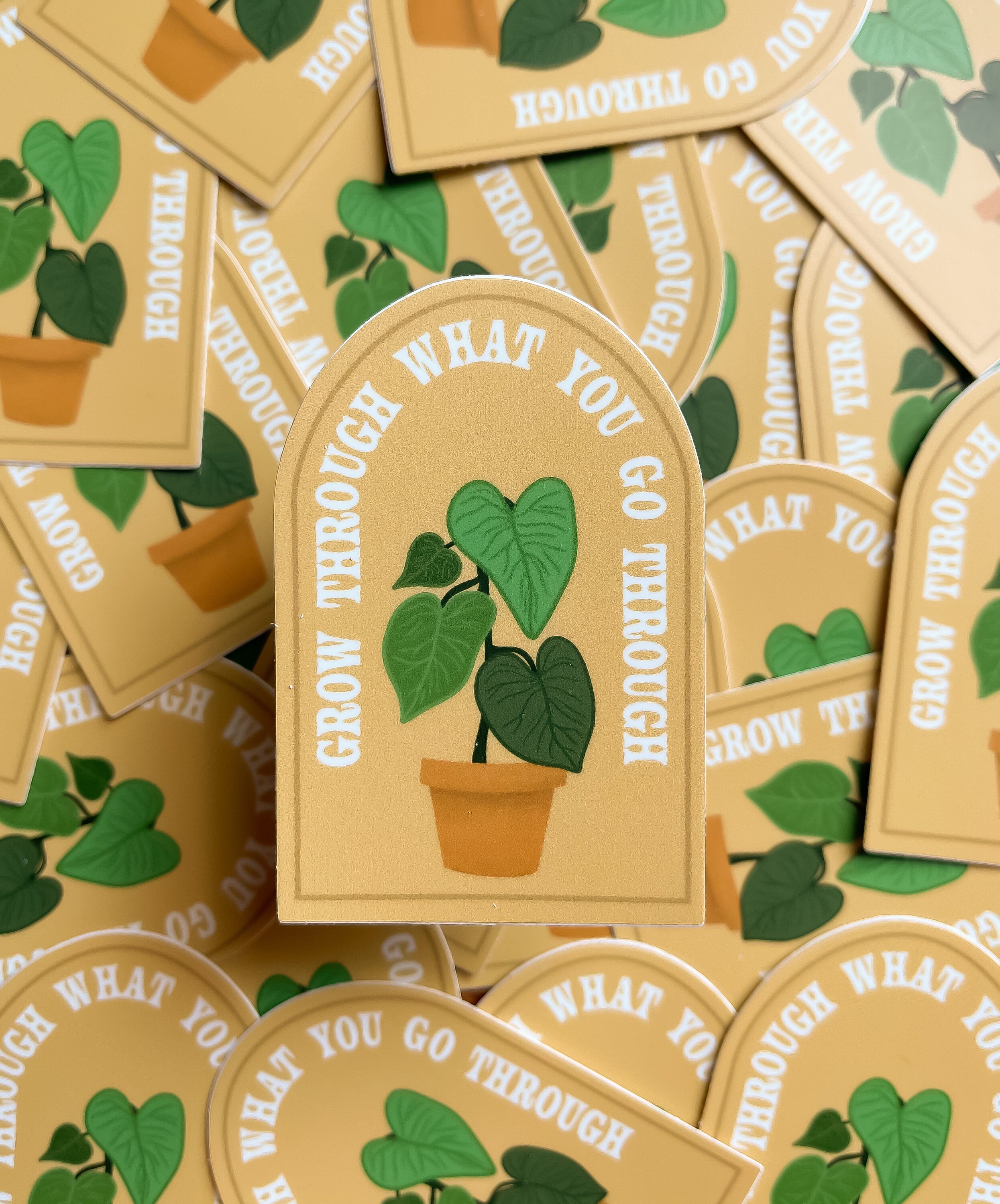 Grow Through What You Go Through Sticker // Durable Waterproof Vinyl - Etsy