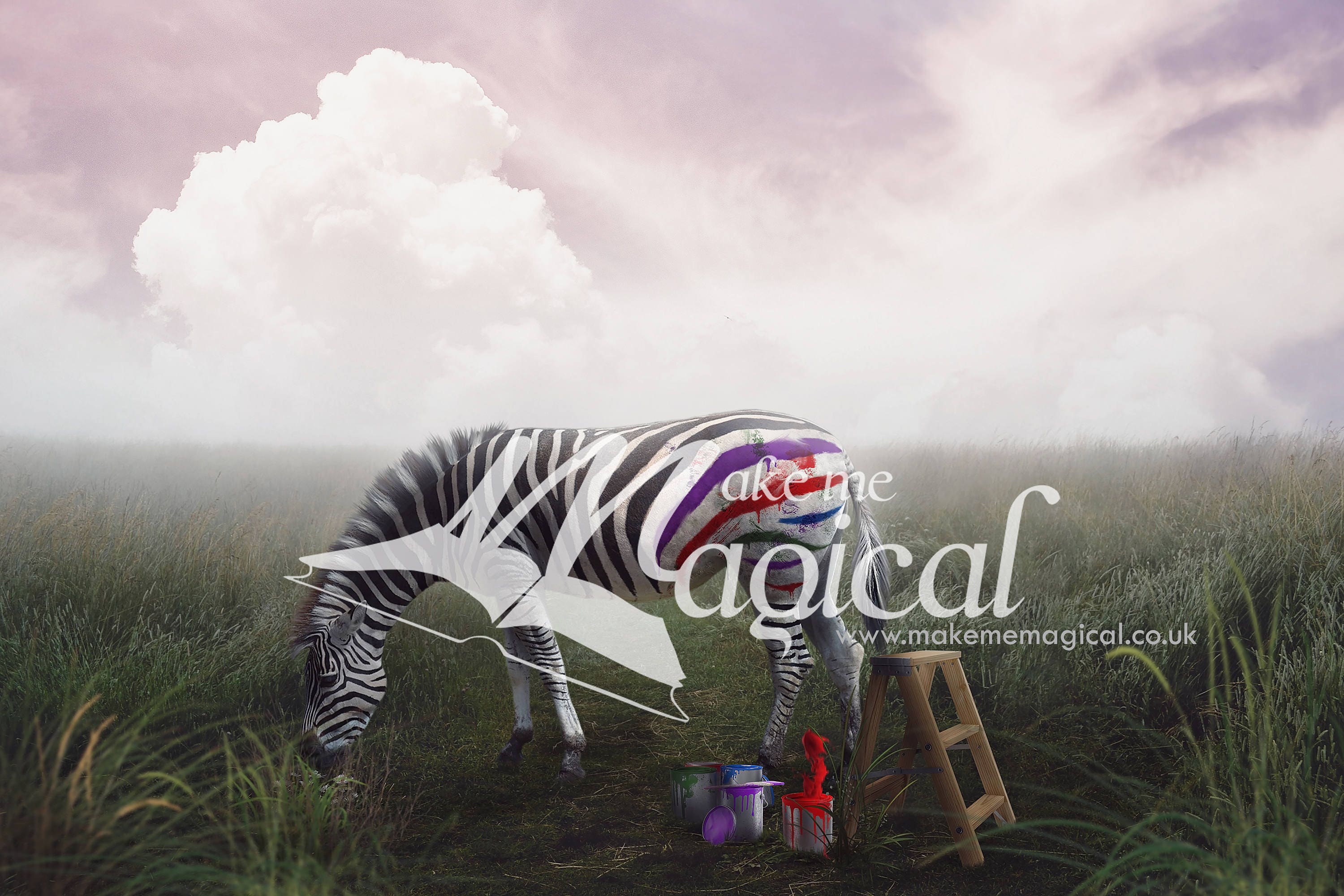 Painted Zebra Digital Backdrop Zebra Backgrounds 4 Zebra | Etsy