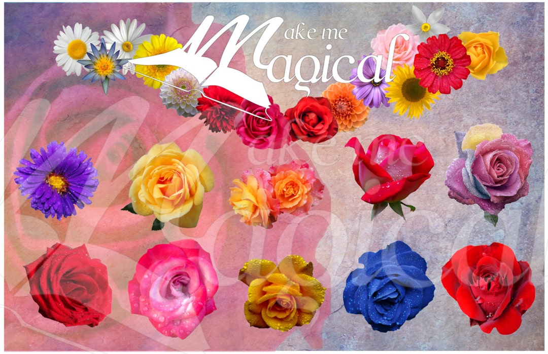 Flower Overlays | Flower Clipart | Flowers Scrapbooking | Digital ...